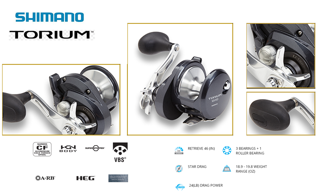 Thalassashop. SHIMANO TORIUM HG